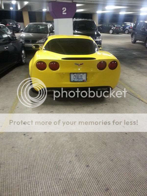 nice plates! - CorvetteForum - Chevrolet Corvette Forum Discussion