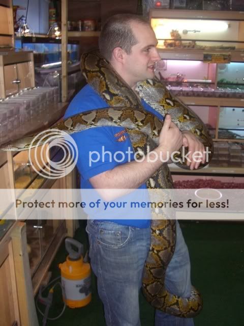 my big girl (retic) pic heavy! | Reptile Forums