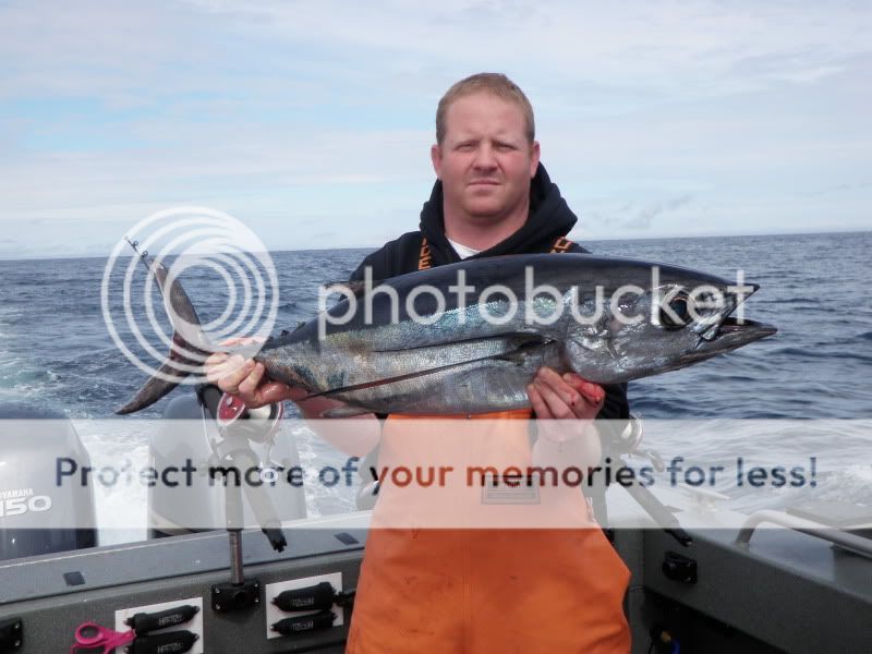 Saltwater - Spoiled rotten tuna at Westport with LingCod Todd | Bloodydecks