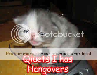 48 Cats That Sum Up Your Hangover Perfectly